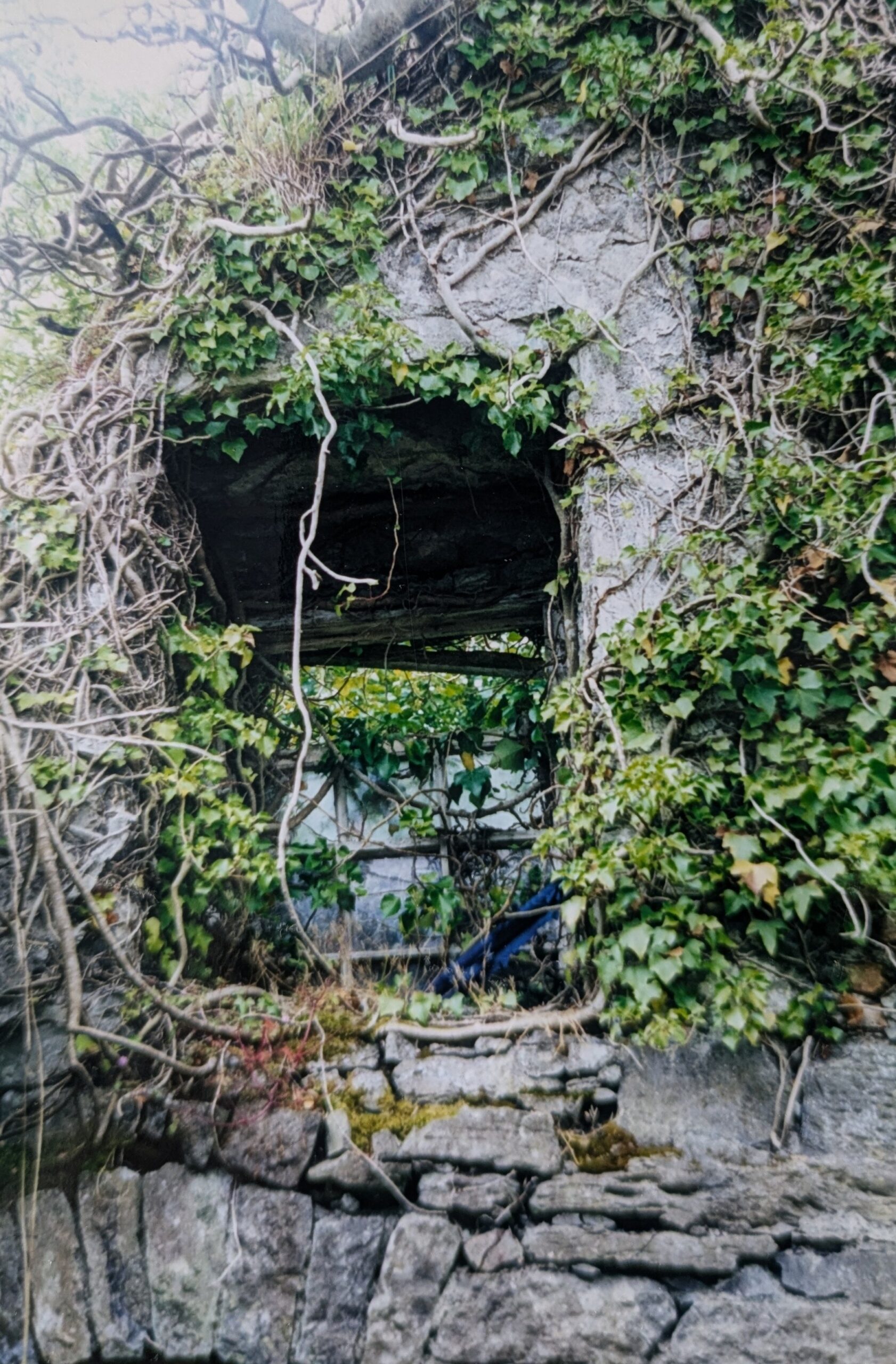 The old homestead in Ireland - Trish Coates Blog